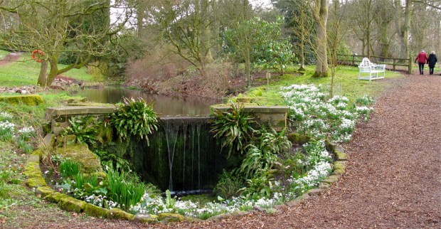 Rode Hall and Gardens | Snowdrop Walk – Susan Rushton