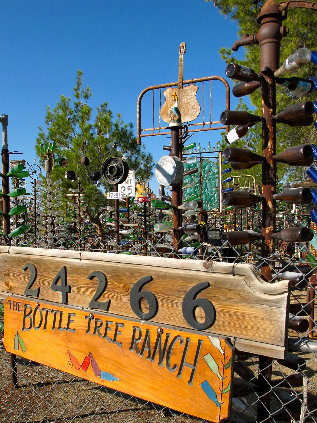 Elmer Long’s Bottle Tree Ranch – Susan Rushton