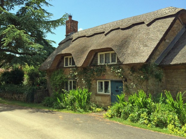 Traditional homes and cottage garden plants – Susan Rushton