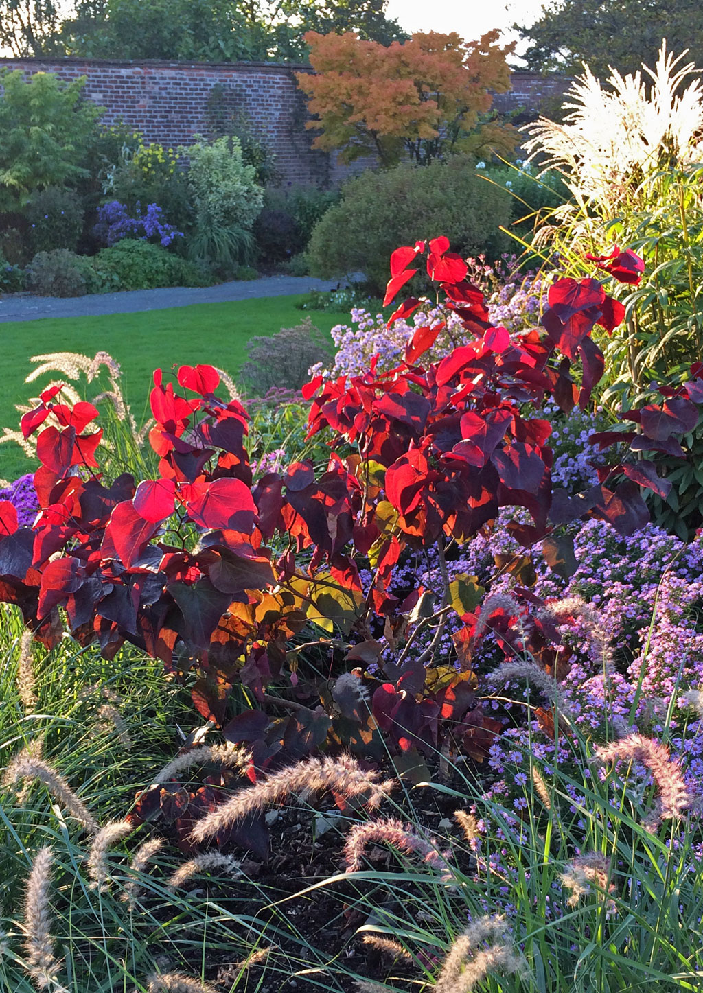 Holehird highlights – Susan Rushton