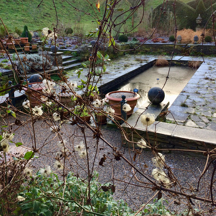 A Visit To Harlow Carr Garden In Winter – Susan Rushton