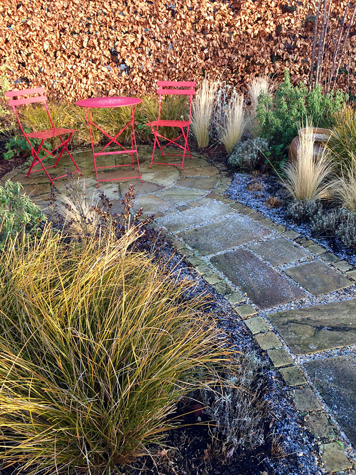 A Visit To Harlow Carr Garden In Winter – Susan Rushton