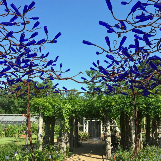 Naturalistic Bottle Trees by Stephanie Dwyer – Susan Rushton