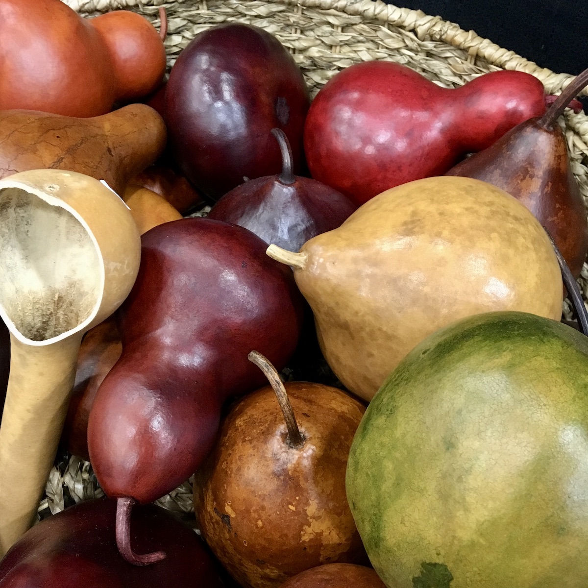 Gourd Luminaries By Thompson Farms – Susan Rushton