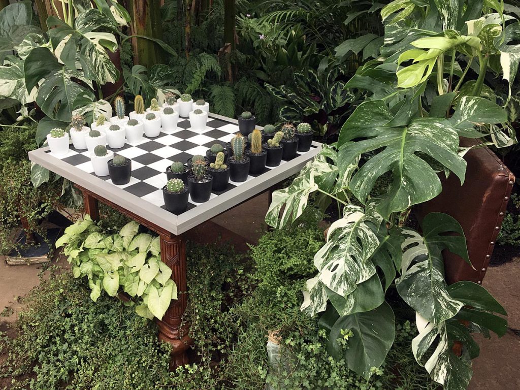 The Giant Houseplant Takeover: A Review With Pictures – Susan Rushton