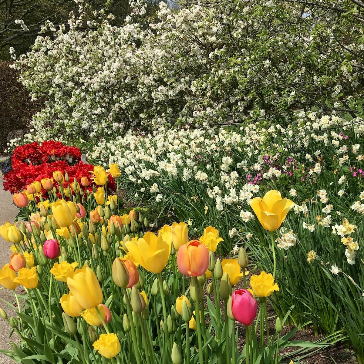 Harlow Carr – Susan Rushton