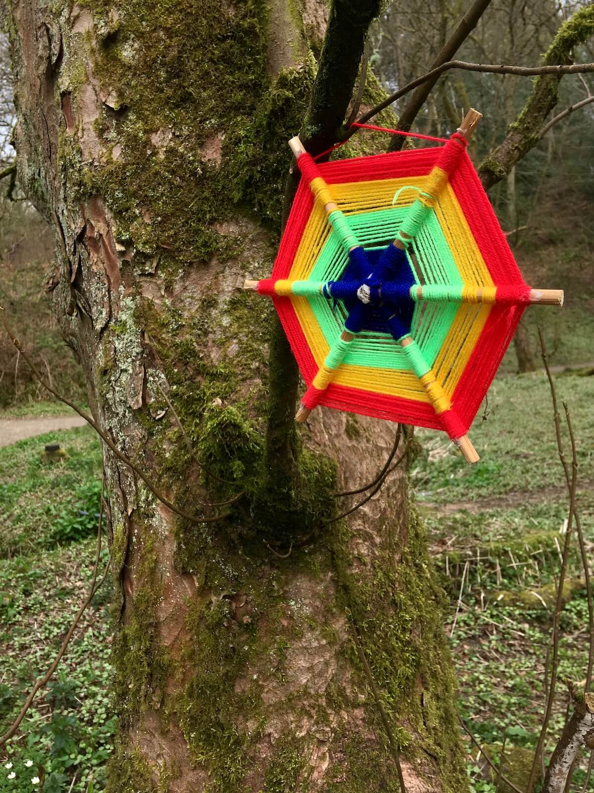 Yarn Bombing Trees Taking Yarn To The Streets – FanningSparks