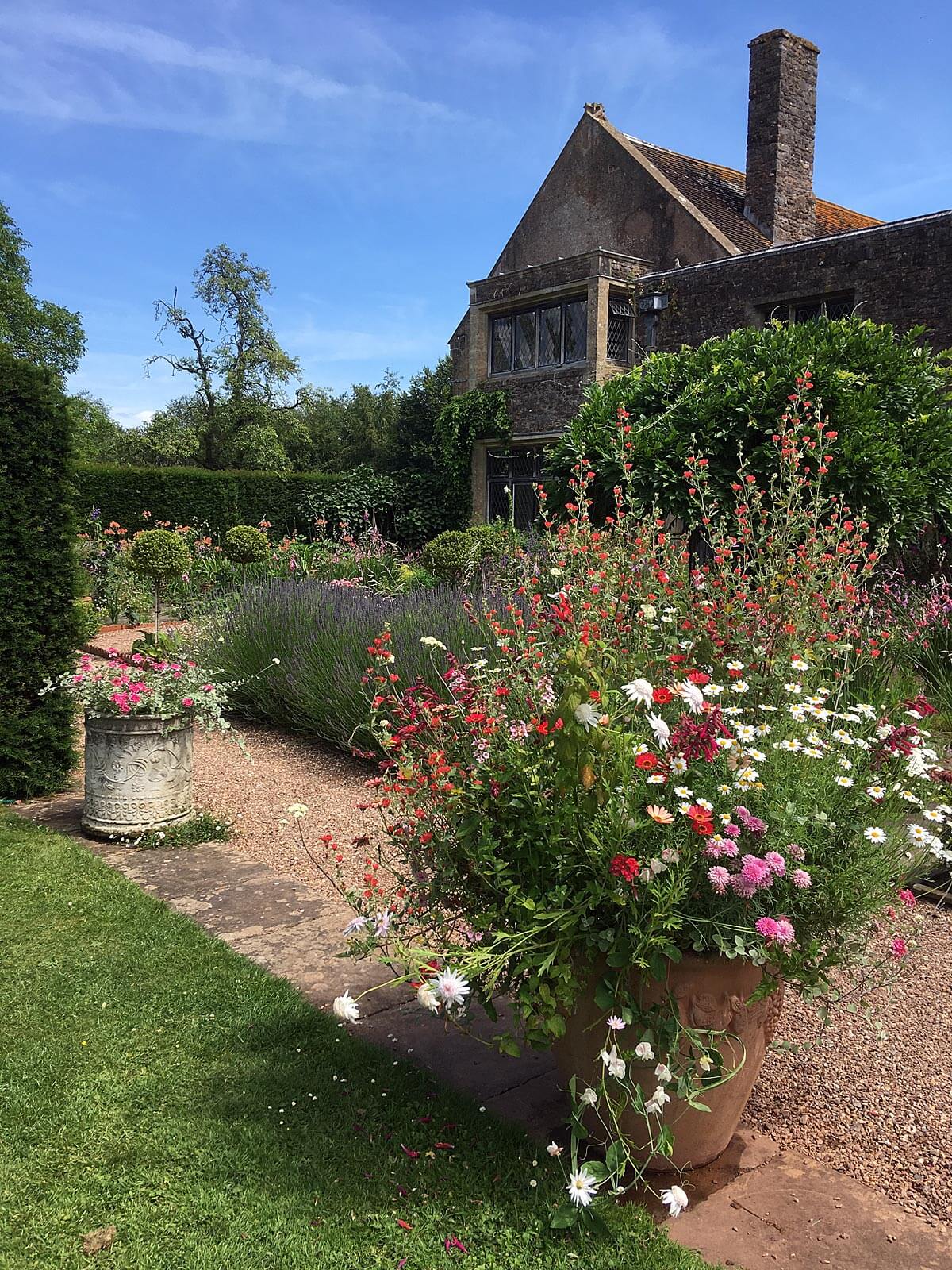 Cothay Manor Garden – Susan Rushton
