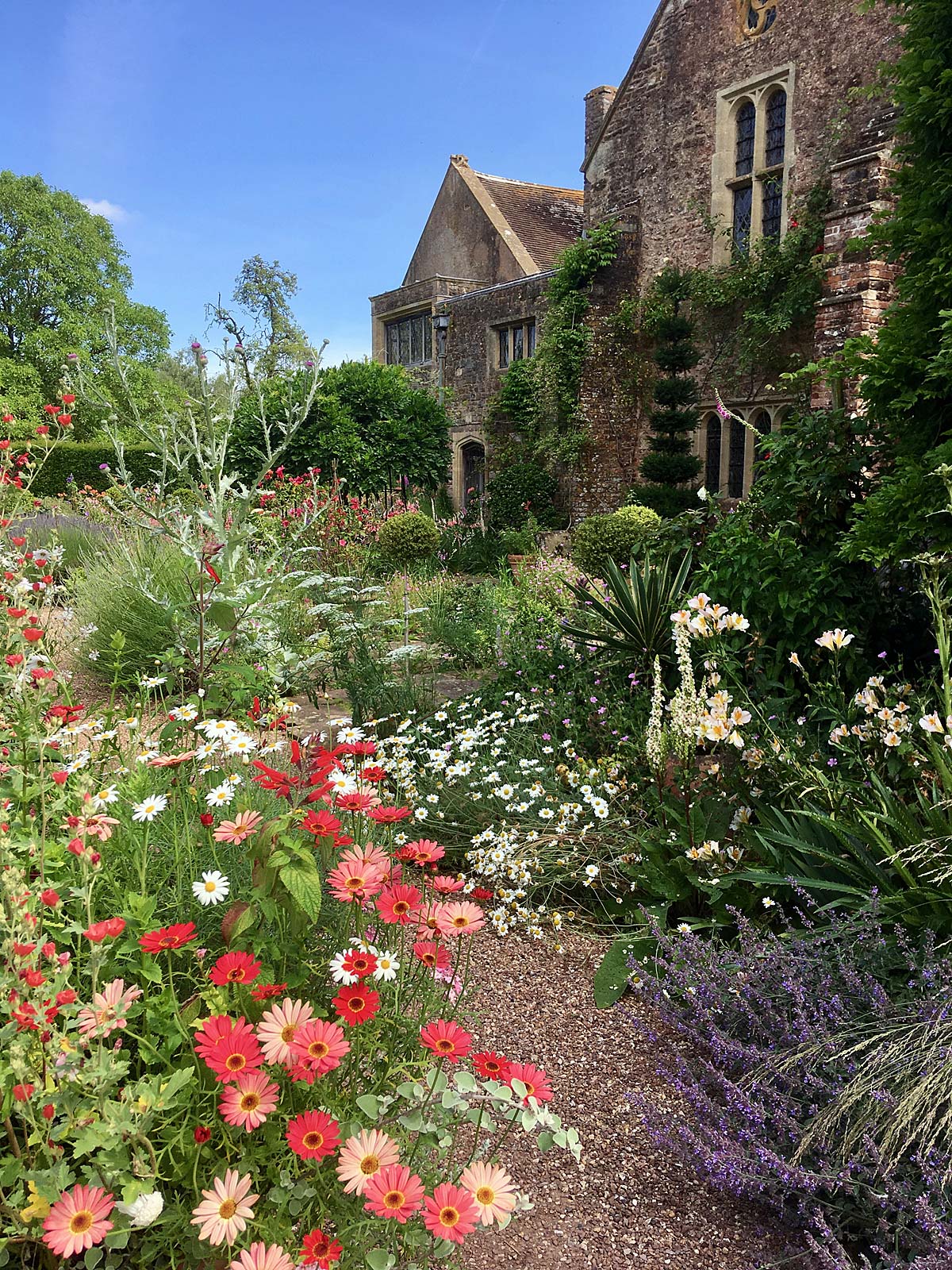 Cothay Manor Garden – Susan Rushton