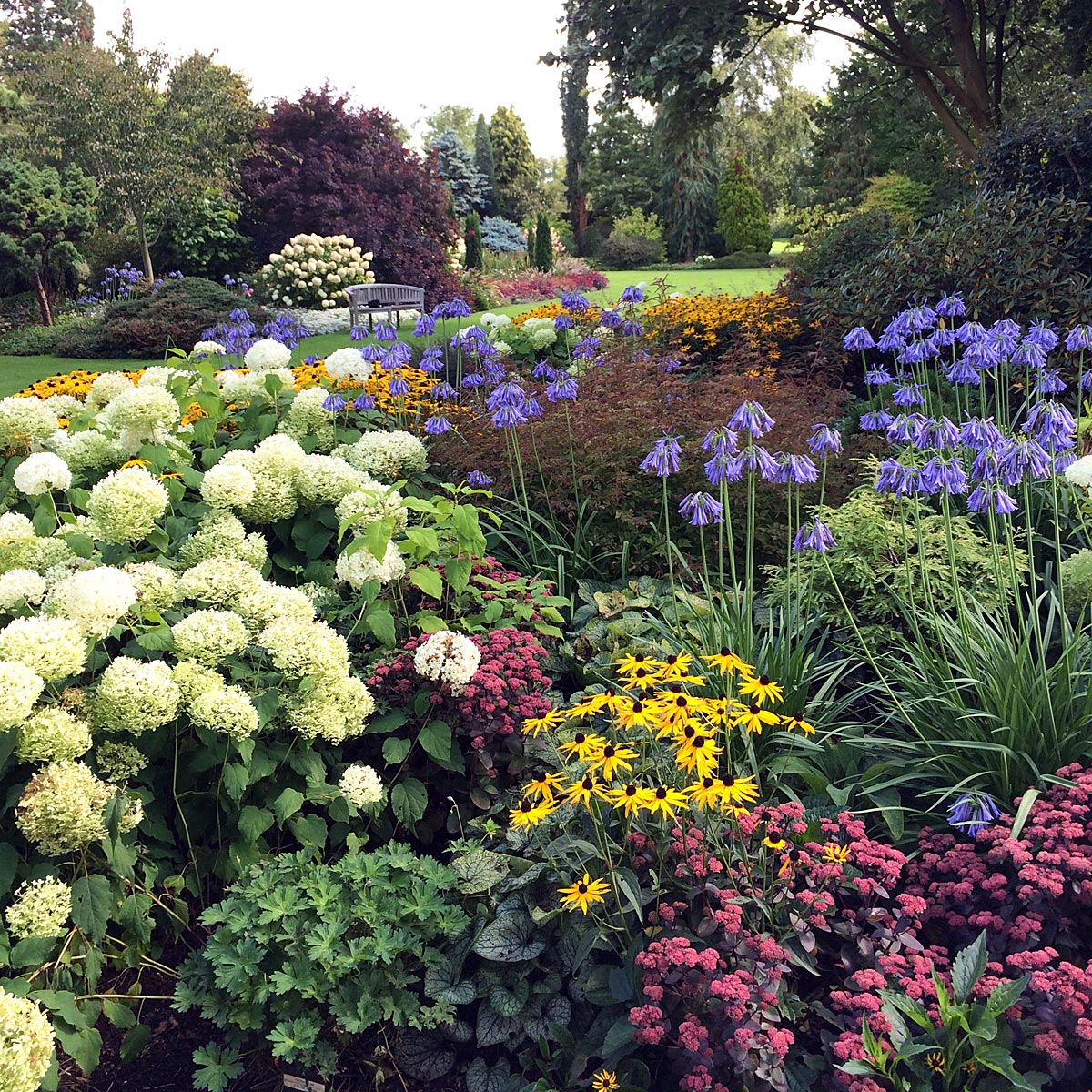 What is a Mixed Border? – Susan Rushton