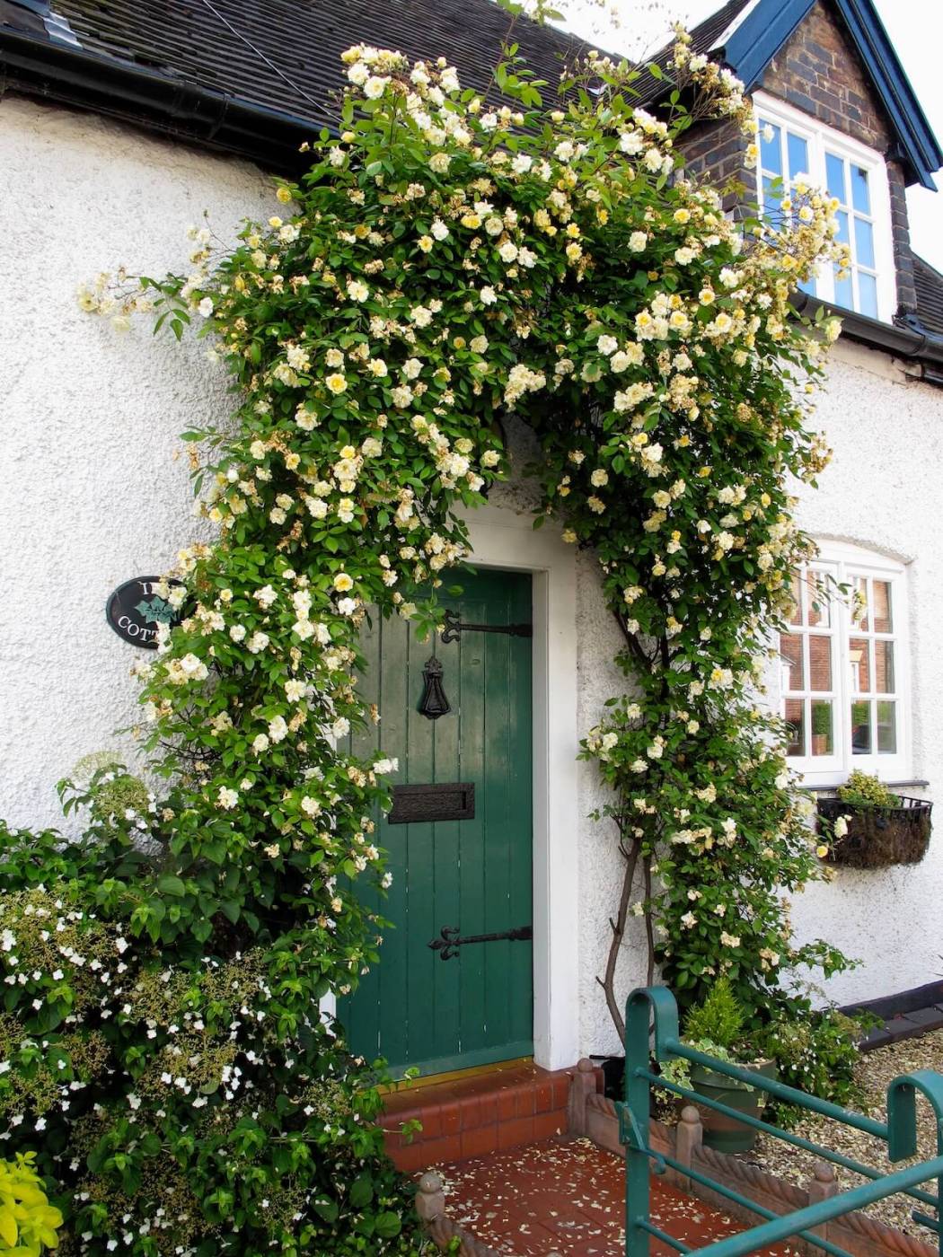 Beautiful Ways To Train And Support Rambling Roses – Susan Rushton