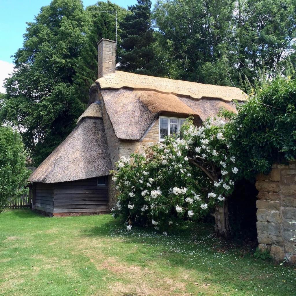 Beautiful Ways To Train And Support Rambling Roses – Susan Rushton