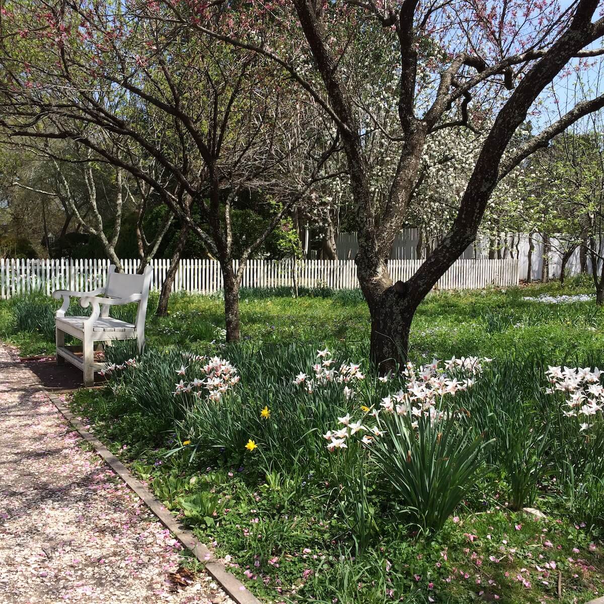 Up The Garden Path – Susan Rushton