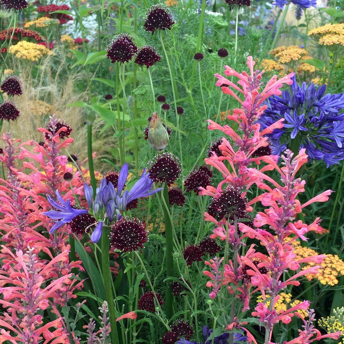 Floral Mix-up – Susan Rushton