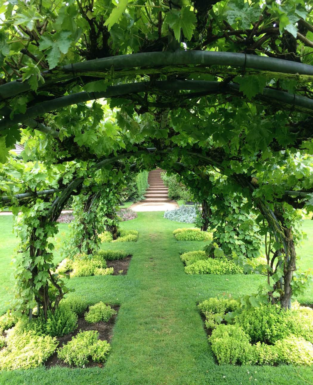 Life In Colour: A Green Journey – Susan Rushton