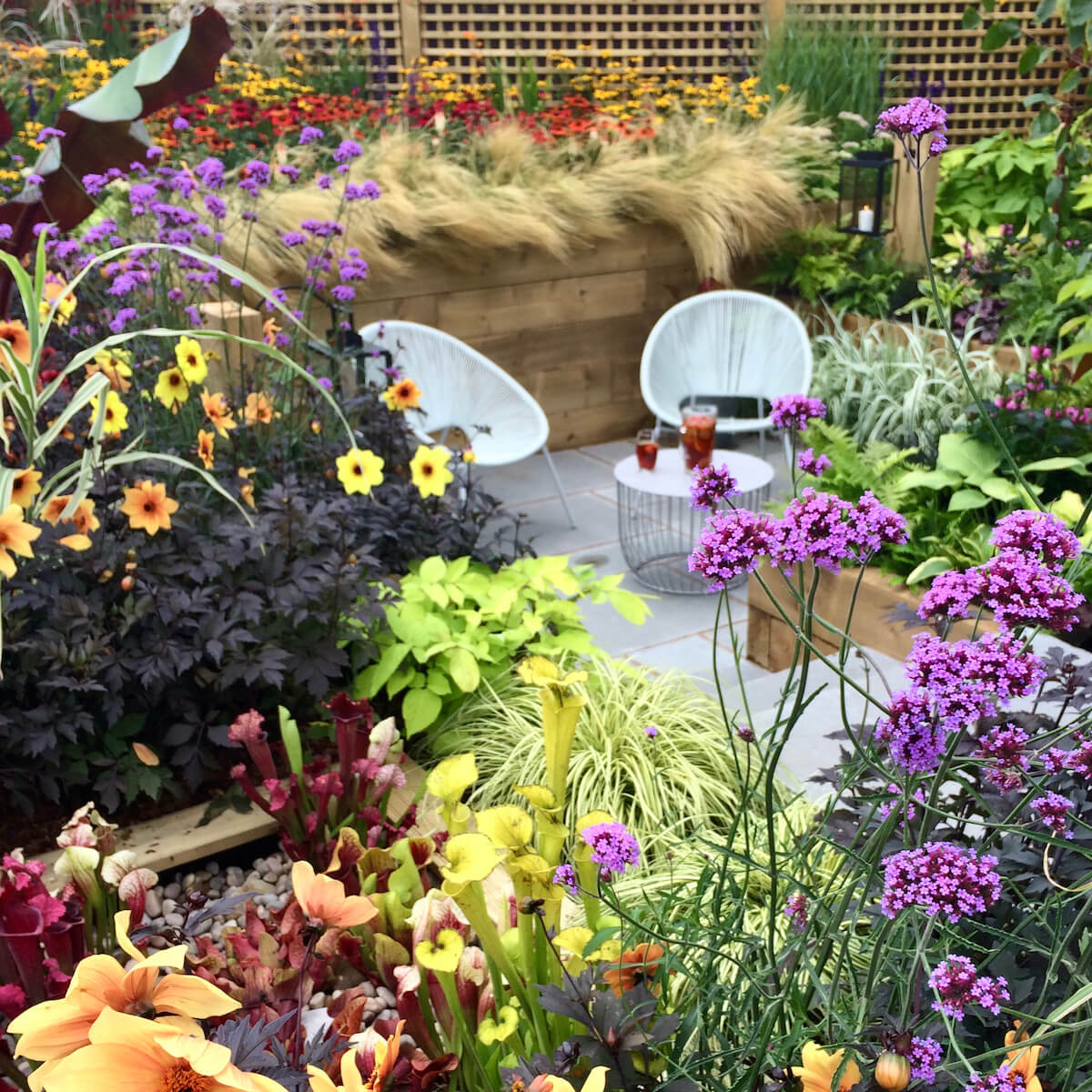 BrightSquare: Garden – Susan Rushton