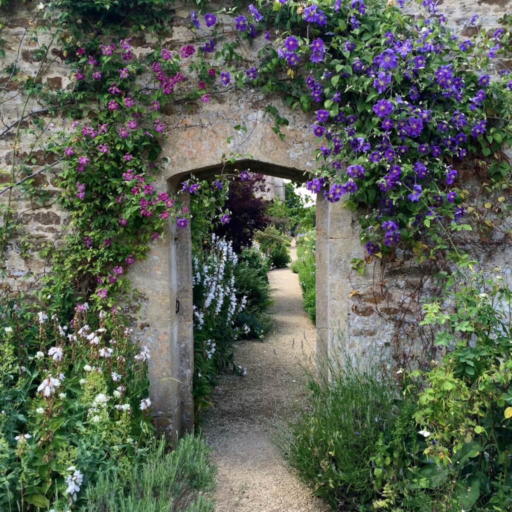 One Photo Two Ways – Susan Rushton