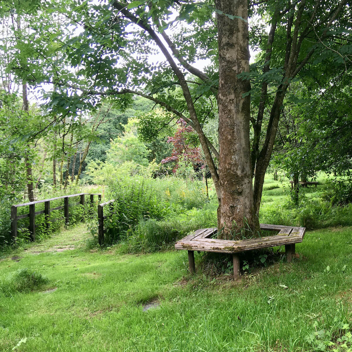 Wooden Garden Benches: Smooth and Rough-Hewn, Traditional and Modern ...