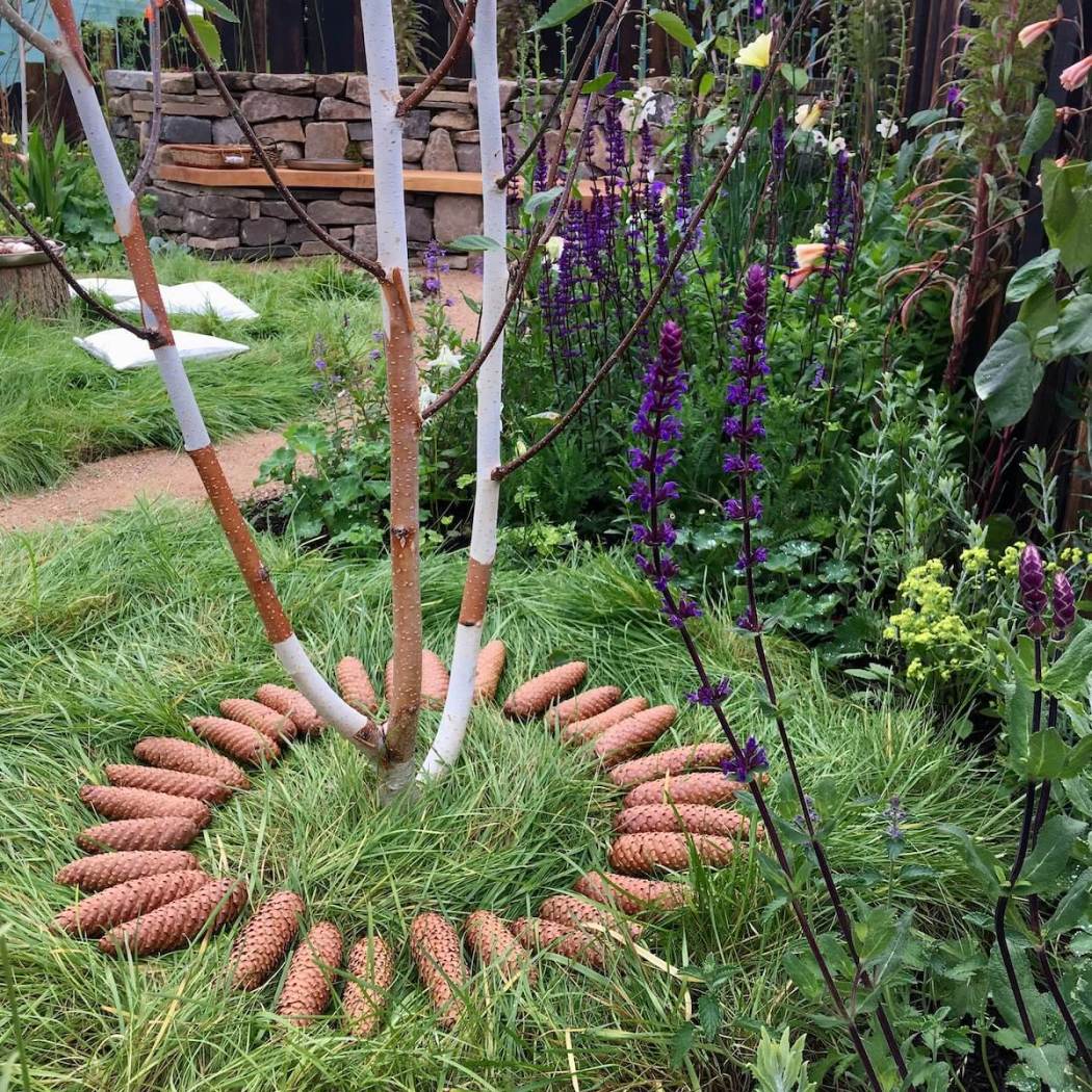 Using Birch in the Garden for Light, Rhythm and Texture – Susan Rushton