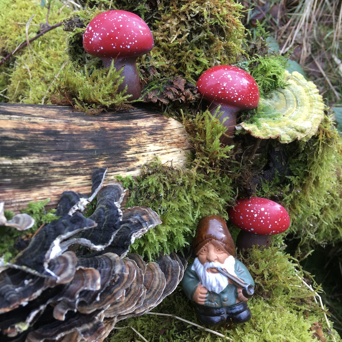 Wordless Wednesday: Gnome – Susan Rushton