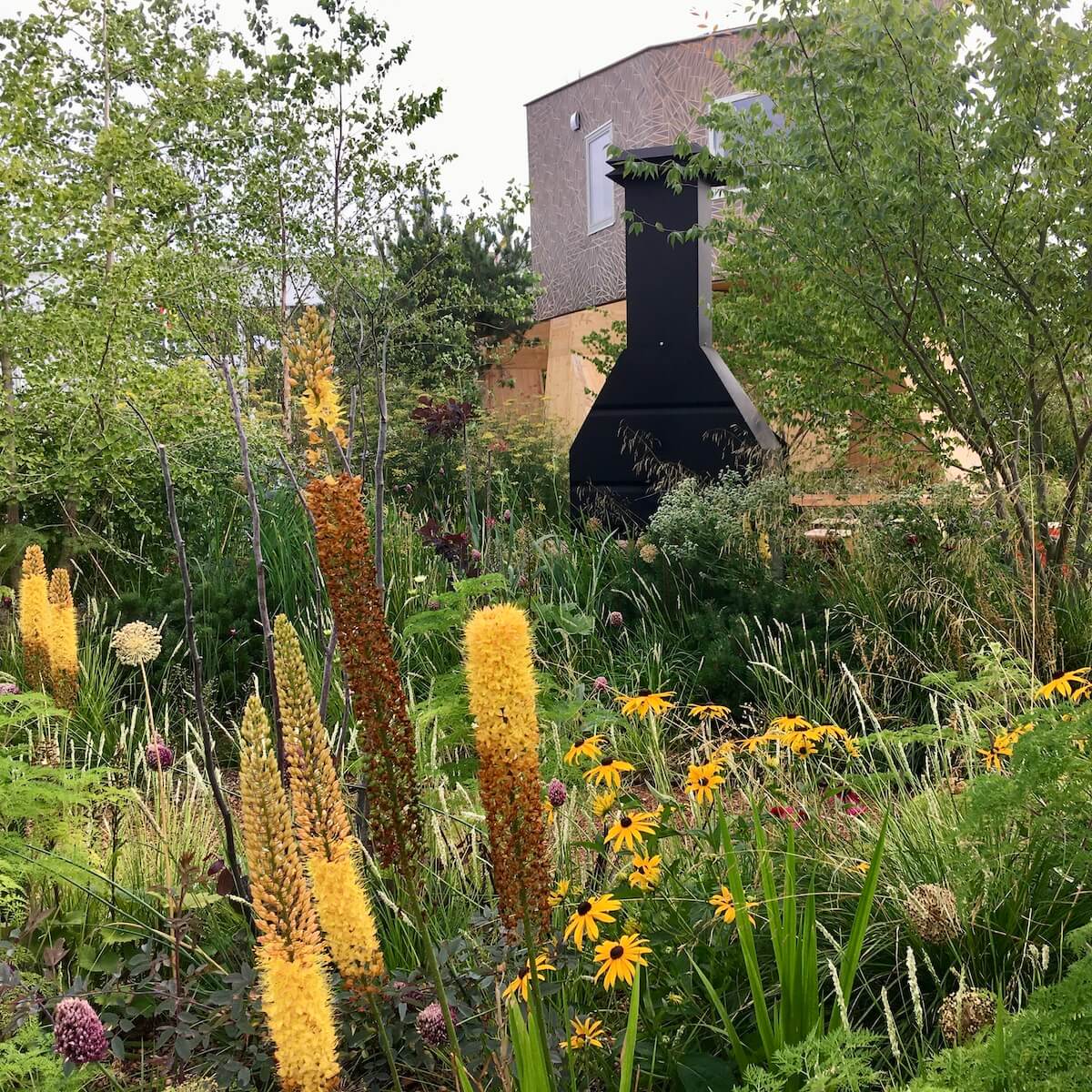 Garden design – Susan Rushton