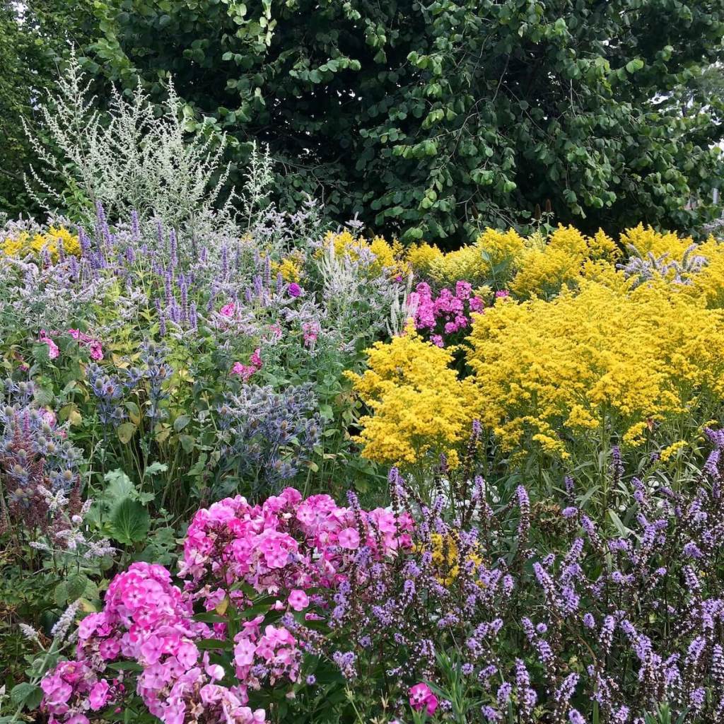 Week of Flowers 2022: A Floral Riot – Susan Rushton