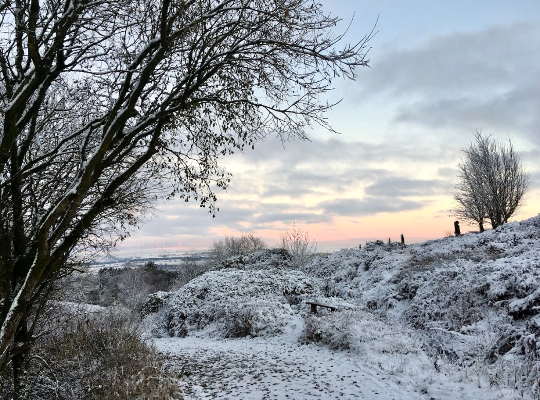 Winter – Susan Rushton