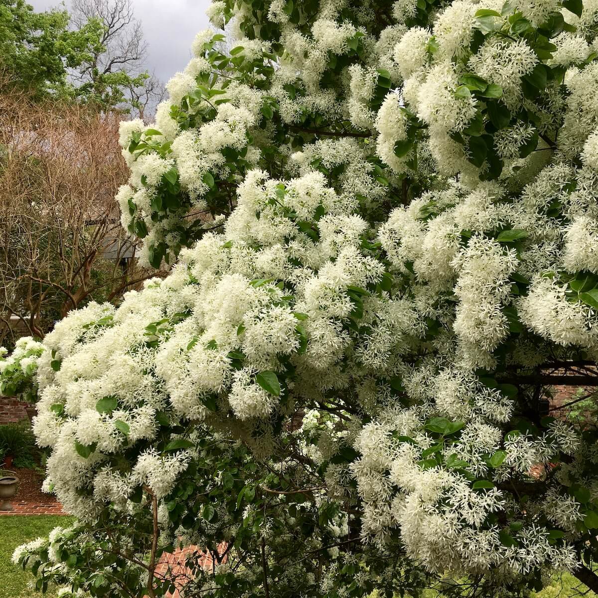 Blog – Page 8 – Susan Rushton
