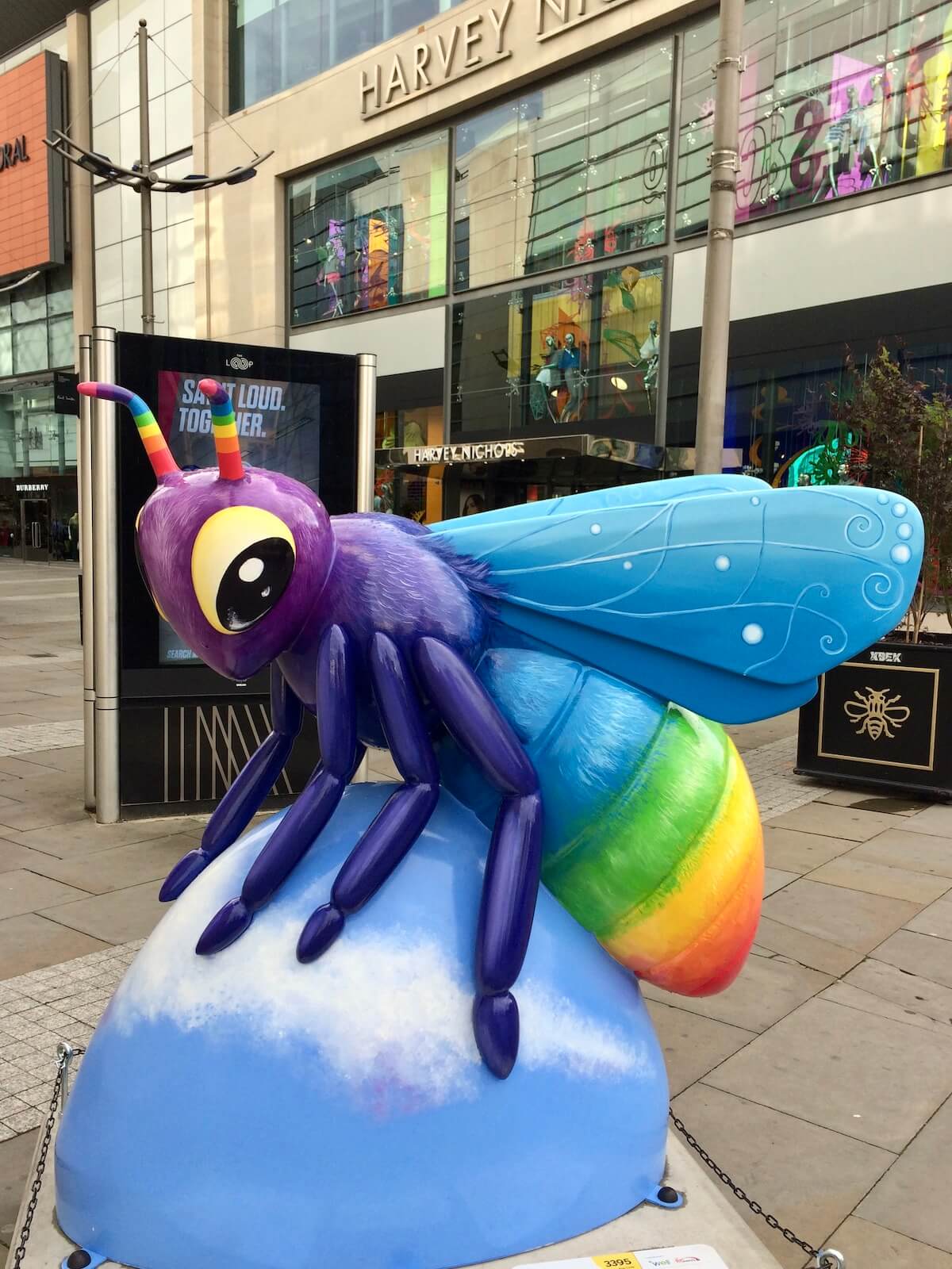 An Homage To Bees – Susan Rushton