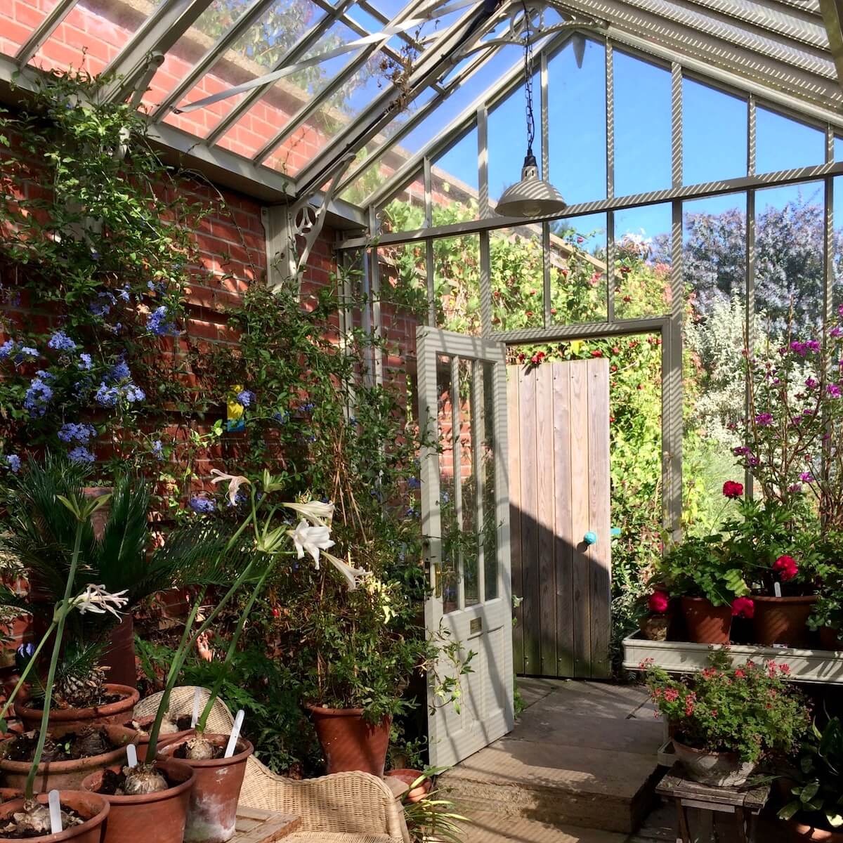 Architectural Glasshouses, Greenhouses and Plants – Susan Rushton