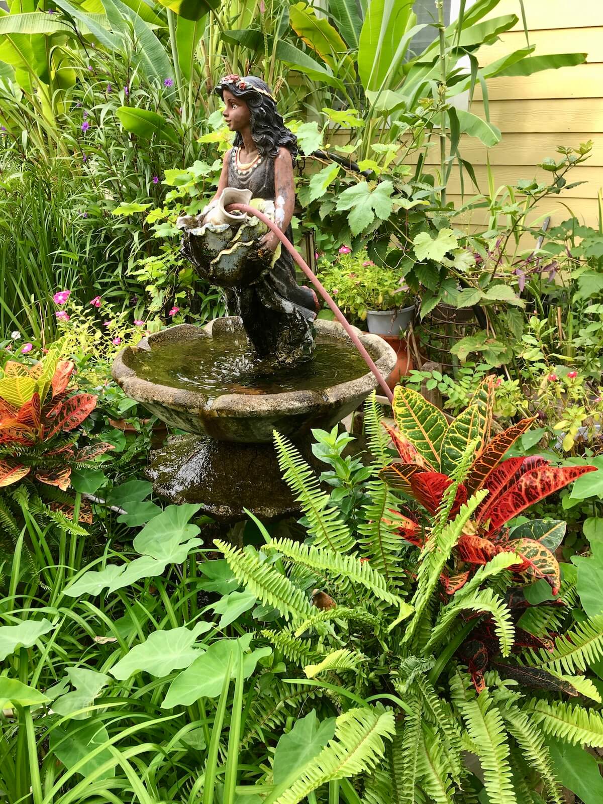 Perry garden – Susan Rushton