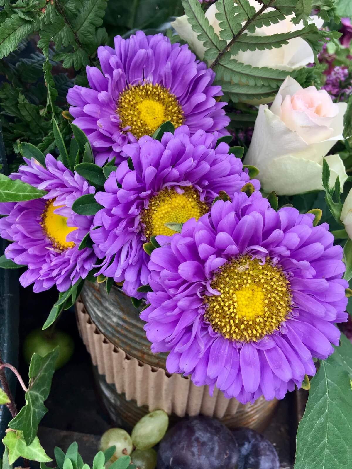 Flower of the Day: Lavender Matsumoto Asters – Susan Rushton