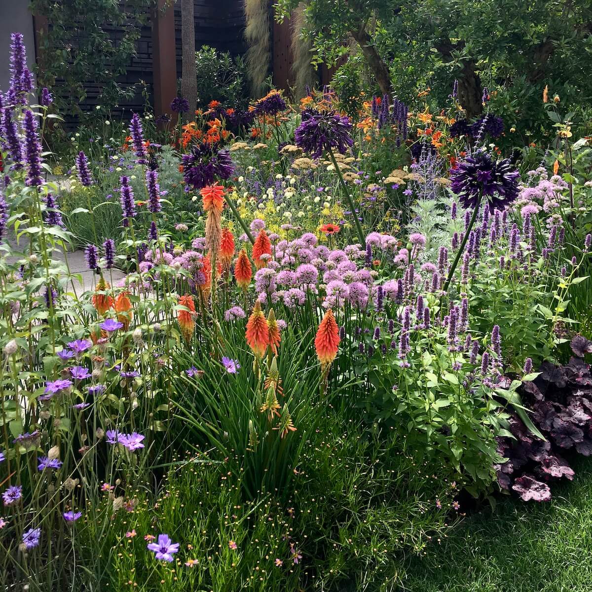 Never Heard of Cramscaping? Check Out Tatton’s Bold, Joyful Show Garden ...