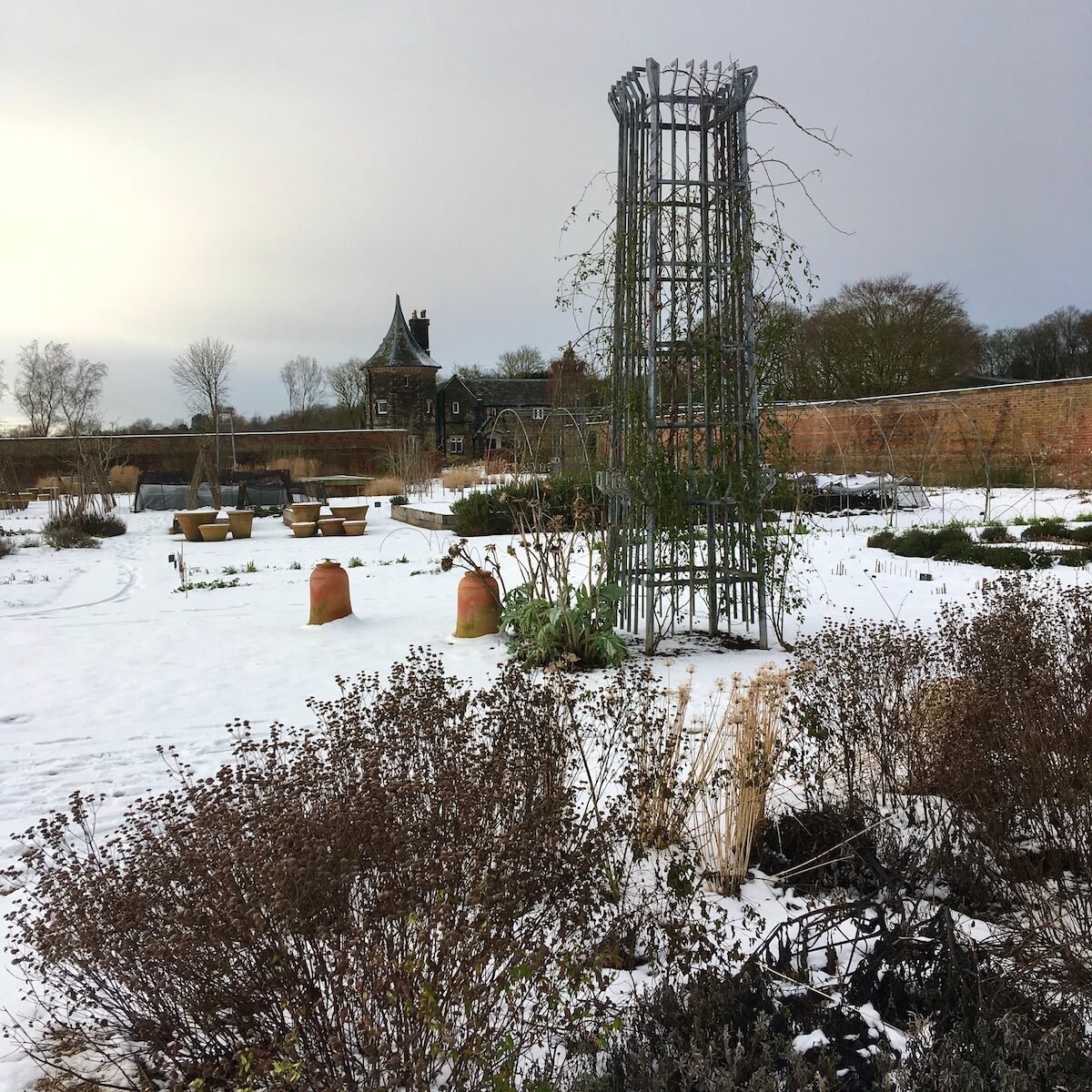 Winter Gardens: Visiting RHS Bridgewater on a Snowy Day – Susan Rushton