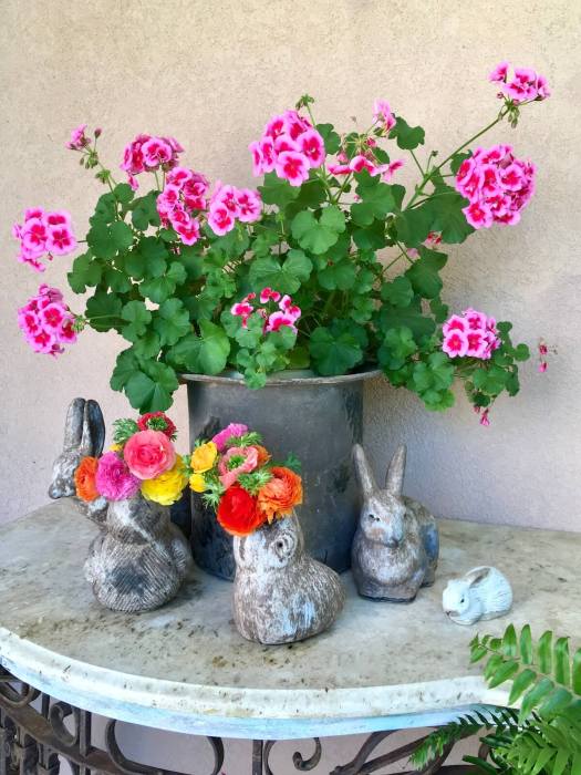 Blog – Susan Rushton