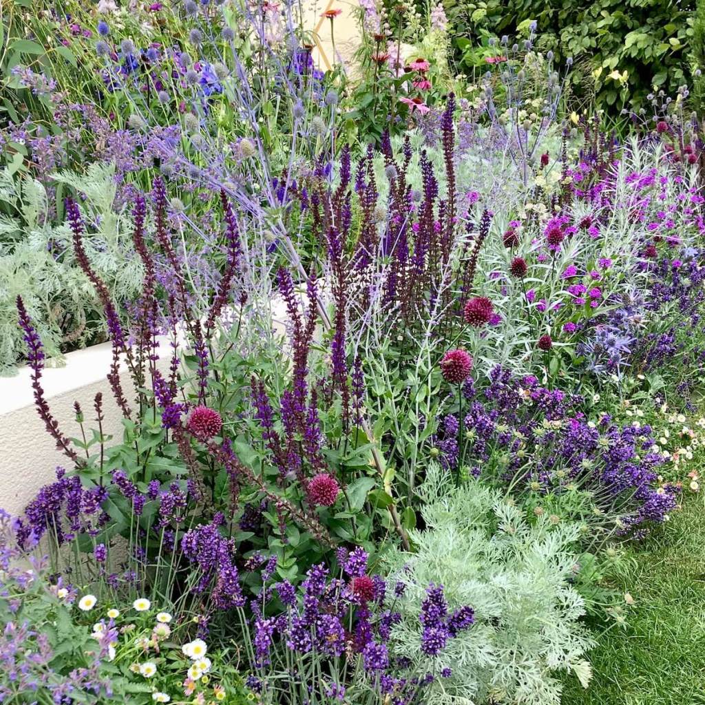 Blog – Susan Rushton