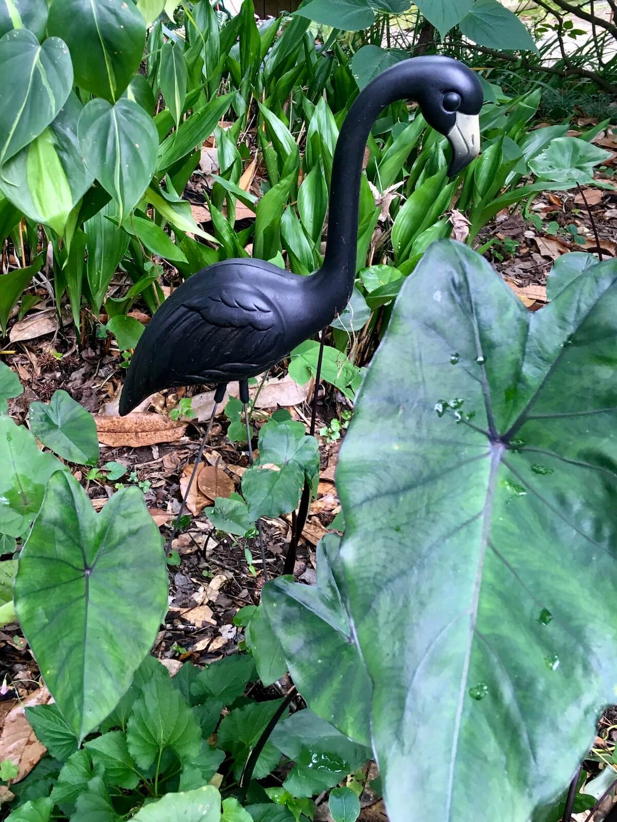 Becky and Don Potts’ Garden, Fondren, Mississippi – Susan Rushton