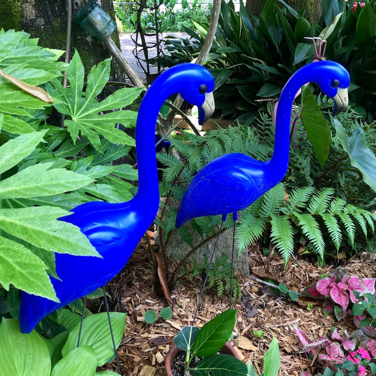 Becky and Don Potts’ Garden, Fondren, Mississippi – Susan Rushton