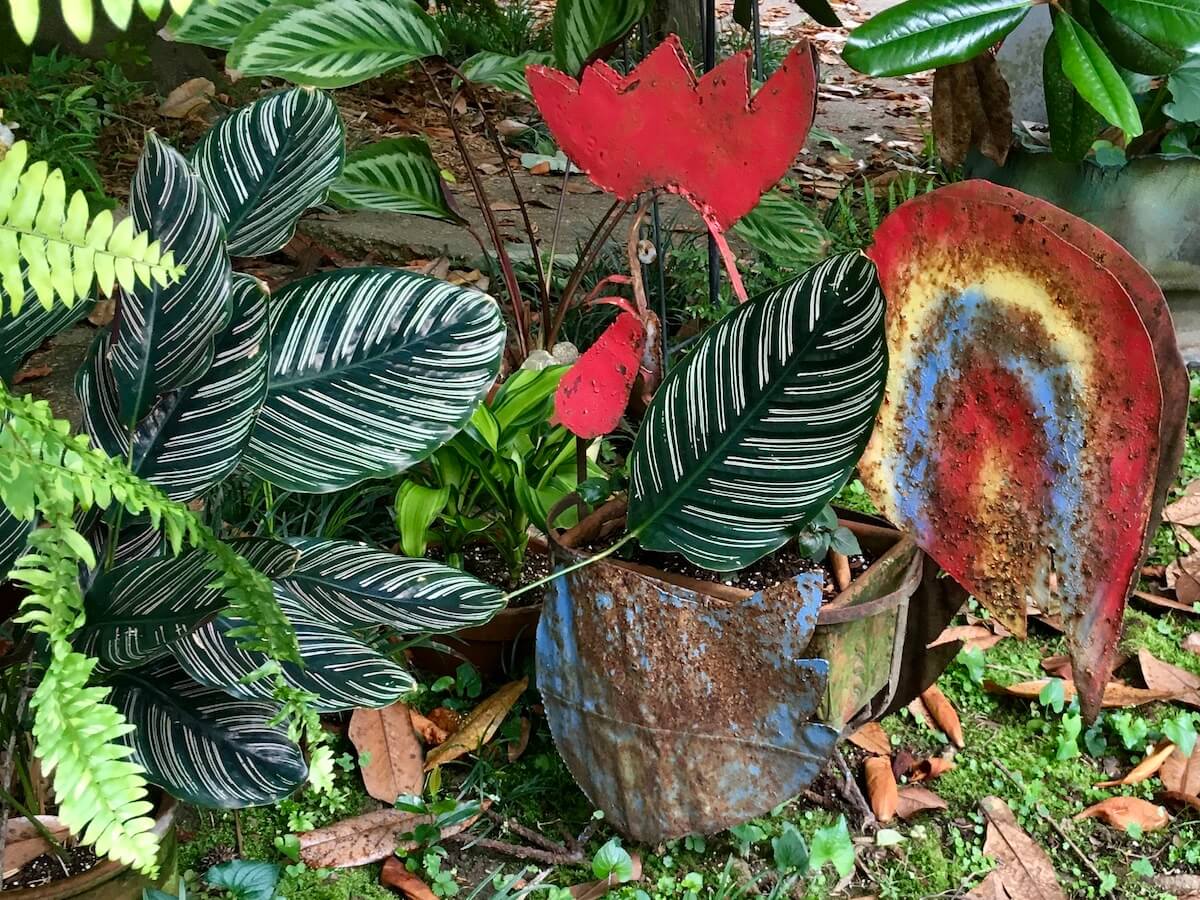 Becky and Don Potts’ Garden, Fondren, Mississippi – Susan Rushton